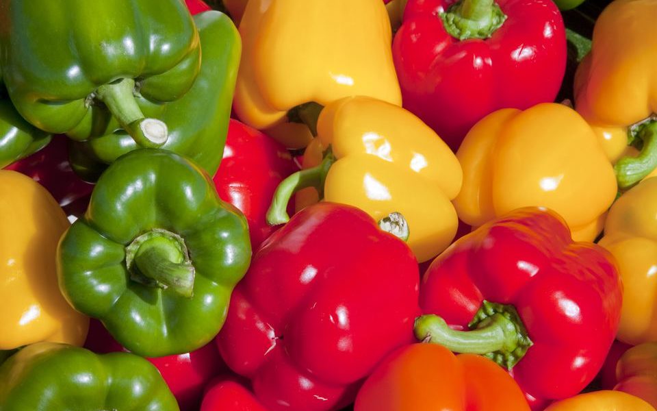 BENEFITS OF BELL PEPPER | FWD Life | The Premium Lifestyle Magazine