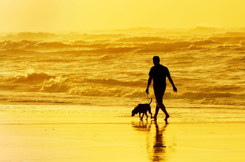 BENEFITS OF MORNING WALK | FWD Life | The Premium Lifestyle Magazine