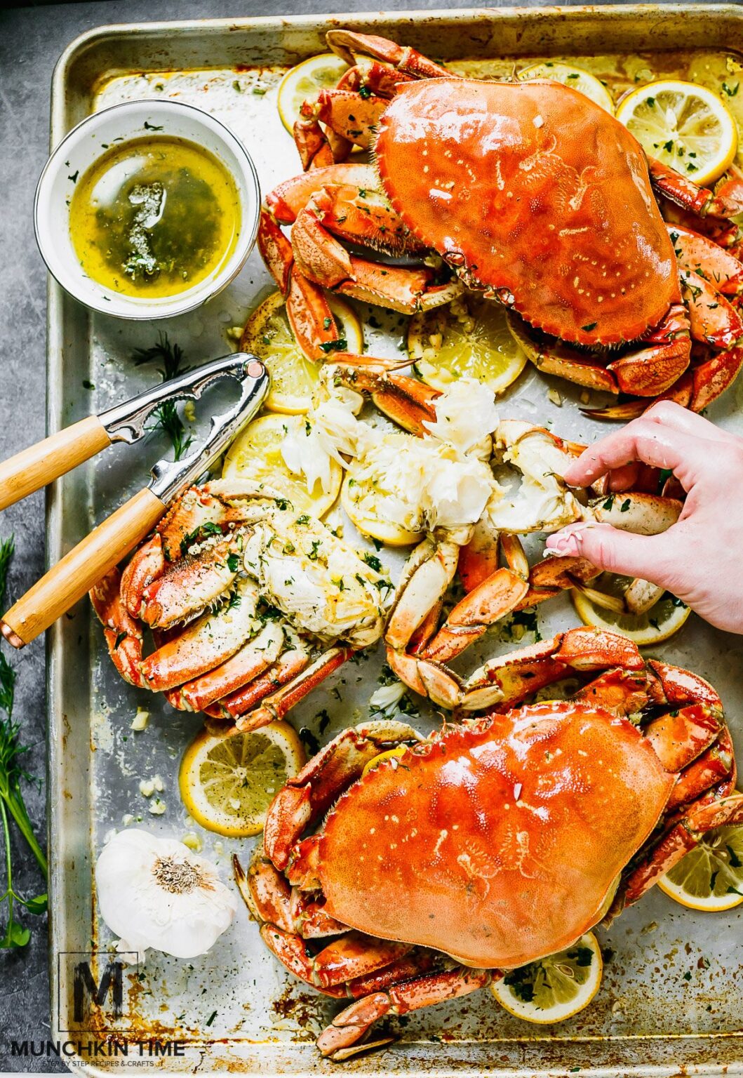 Benefits of Including Crab in your Diet | FWD Life Magazine
